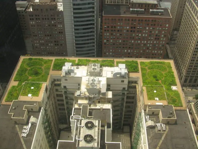 Different Types of Green Roofs: 5 Best Green Examples - Sustainably Forward