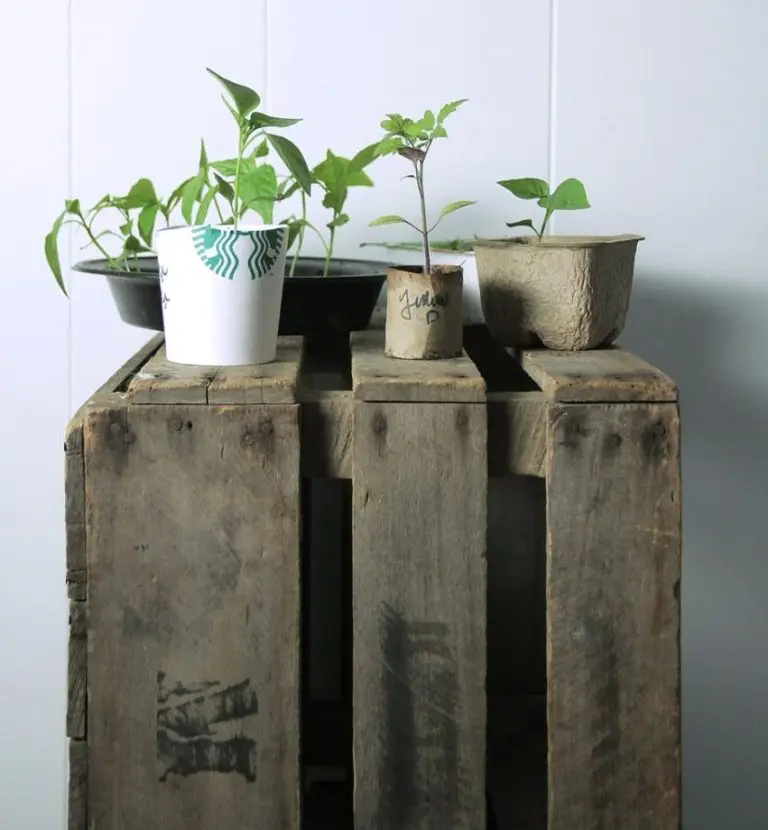 Upcycling Projects for Beginners: Easy Upcycled Ideas - Sustainably Forward
