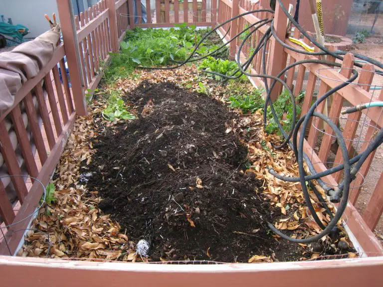 Different Types of Home Composting Methods: 9 Basic Types - Sustainably ...